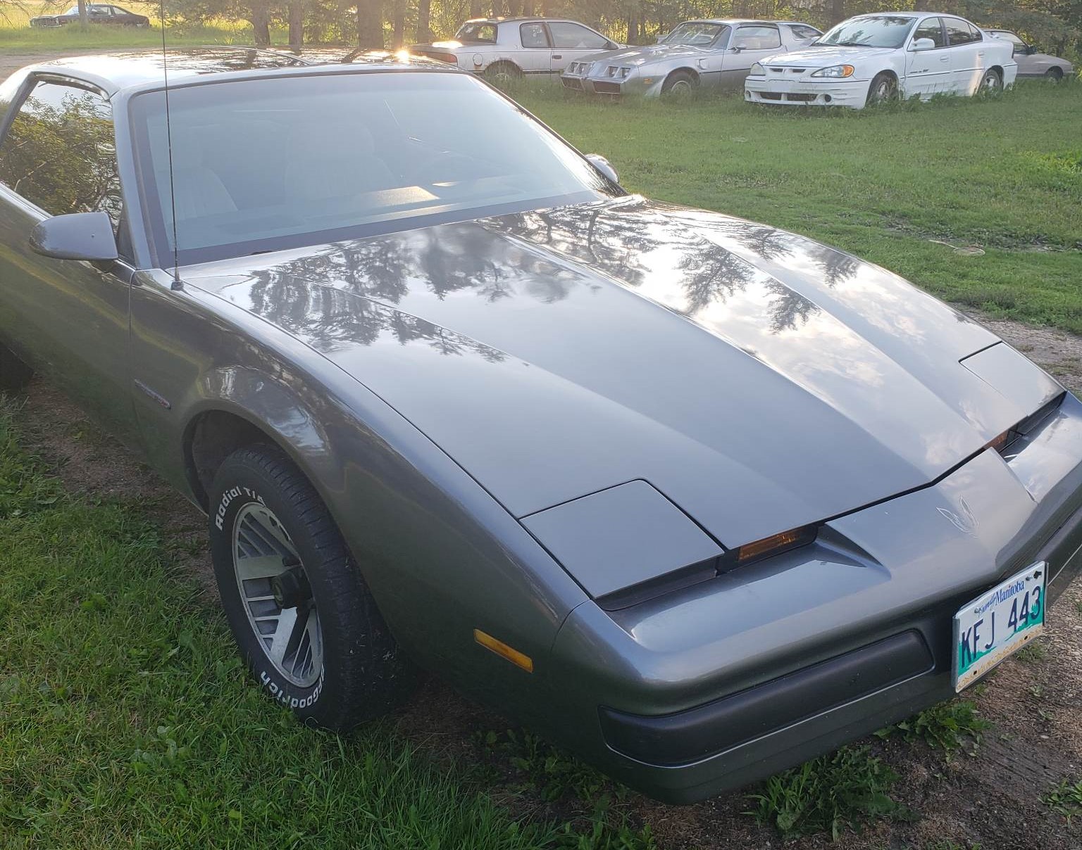 Manitoba – 2 – Firebird Club Canada