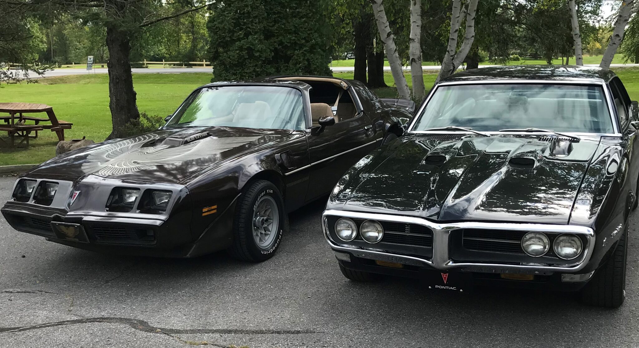Bandit Run Canada – Firebird Club Canada